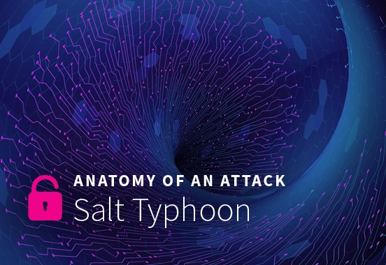 Anatomy of an Attack: CISA Alert on Salt Typhoon — ExtraHop